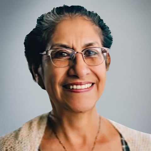 Reshaping the Future of Lithium Extraction - About IBAT